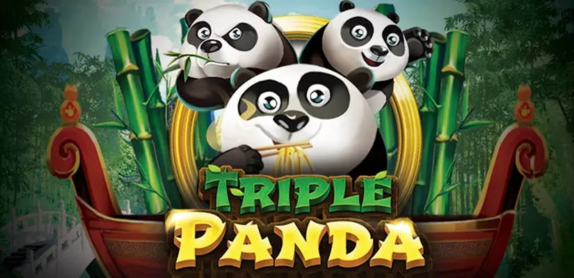 Triple Panda: Sensasi Tiga Simbol Keberuntungan yang Siap Bikin Kamu ...